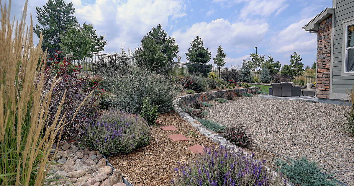 Xeriscaping in Green Valley Ranch, CO